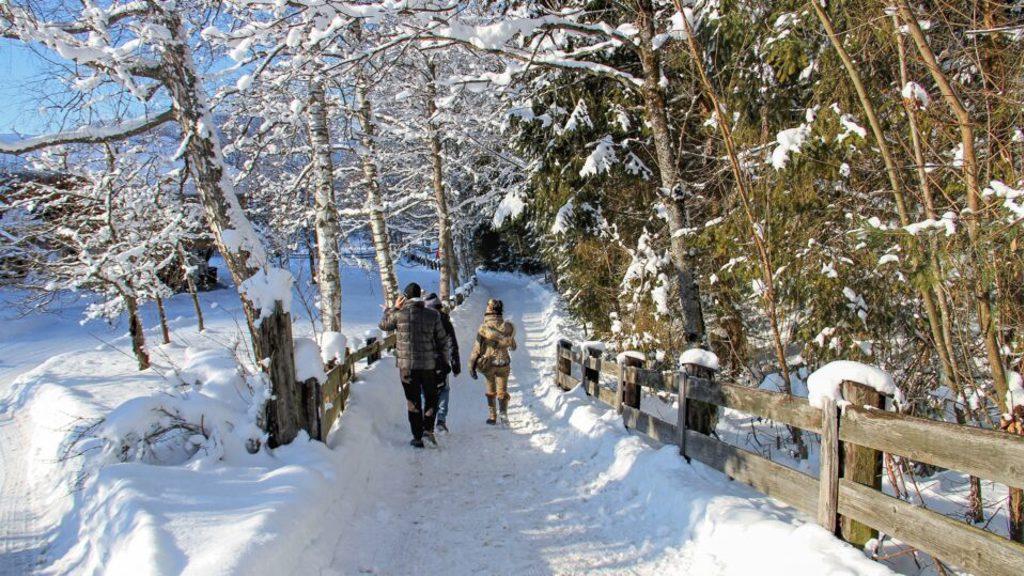 Přichází zima. Zahřejte se v bundách a kabátech s módním prošíváním