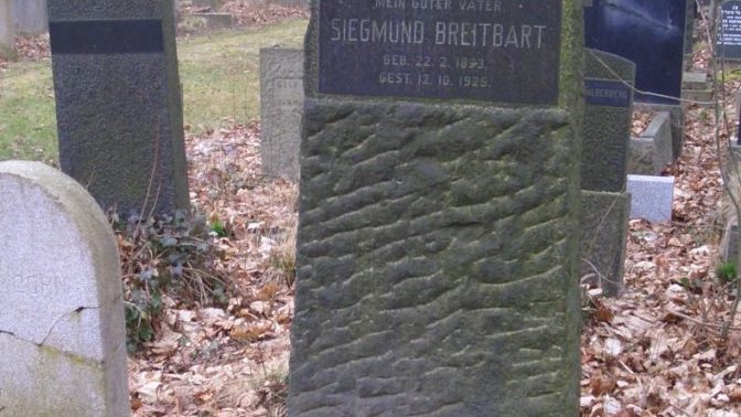 Galerie: Železný muž Zishe Breitbart: Polský silák dobyl svět. Pak ...