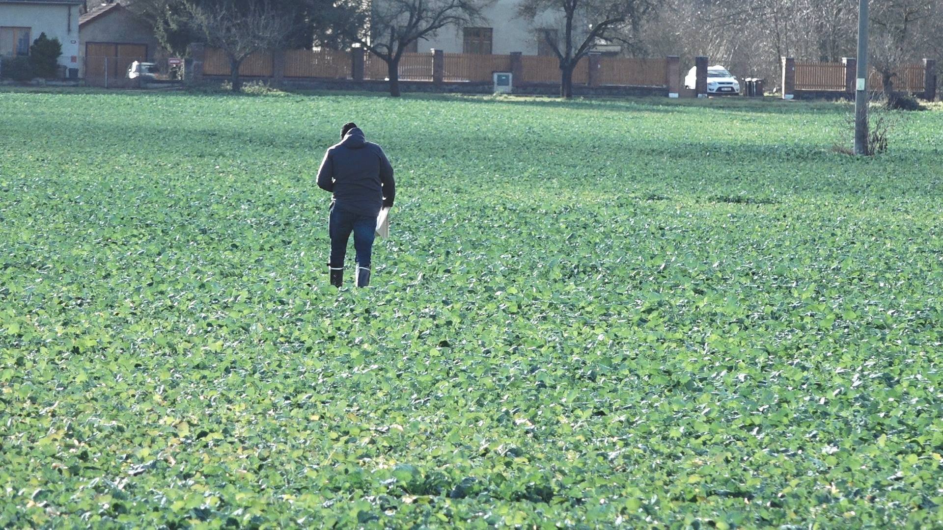 FOTO: Jeden z mnoha policistů, který v úterý pátral v polích.