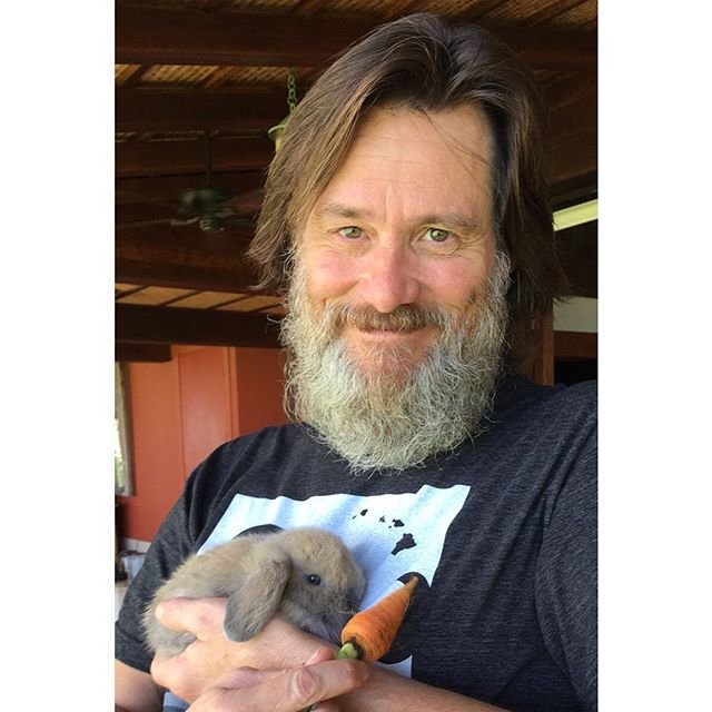 Foto k tématu Jim Carrey – stránka 67