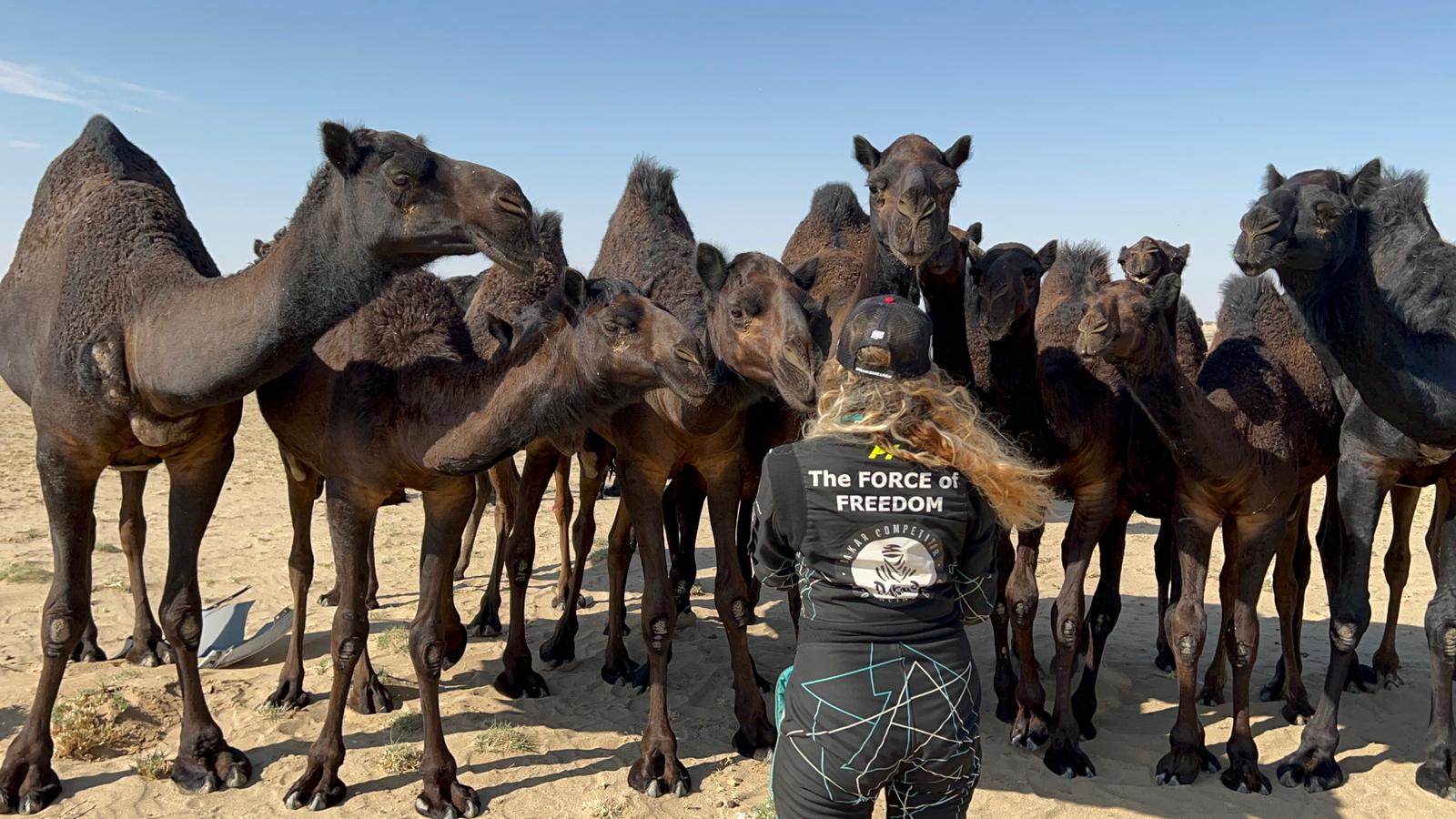 FOTO: Lounová na Dakaru – stránka 177