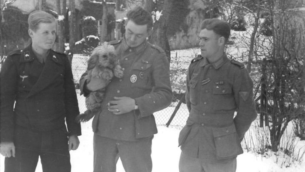 Šílené pokusy nacistů: Chtěli vytvořit armádu mluvících psů. Jeden z ...