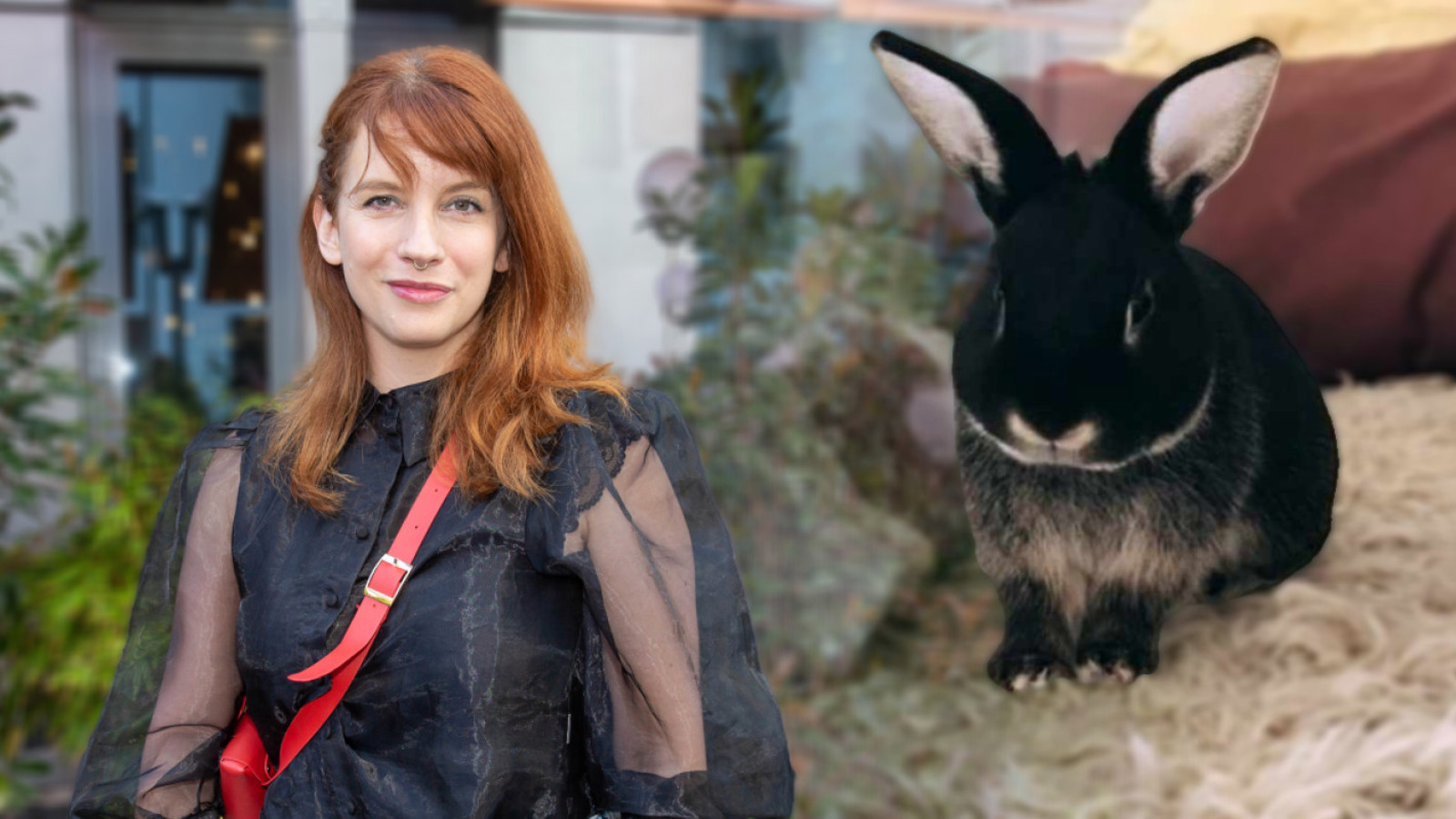 Anna Fixová z Ulice a její králík, Pan Čudl: Historce, jak se naučil ...