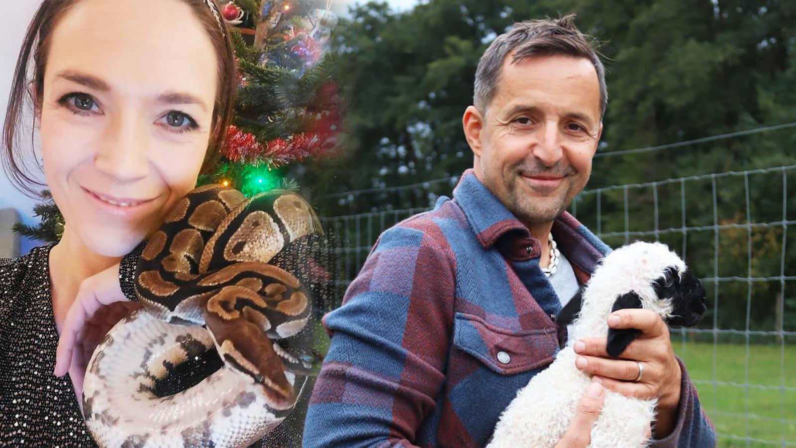 Nevšední domácí mazlíčci slavných: Kostková se mazlí s krajtou, Krejčíř ...